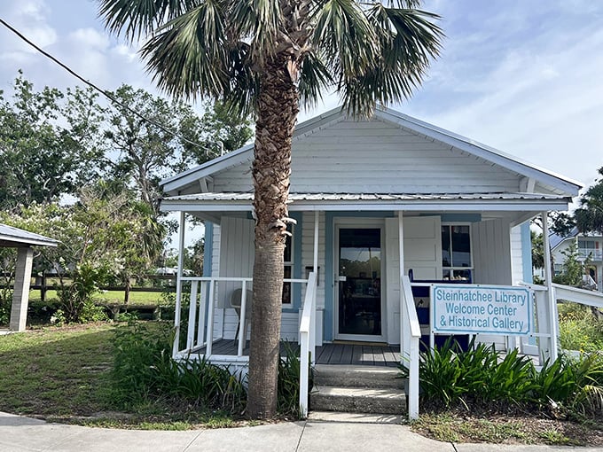 The Little House Library proves that good things come in small packages, especially when surrounded by palm trees.