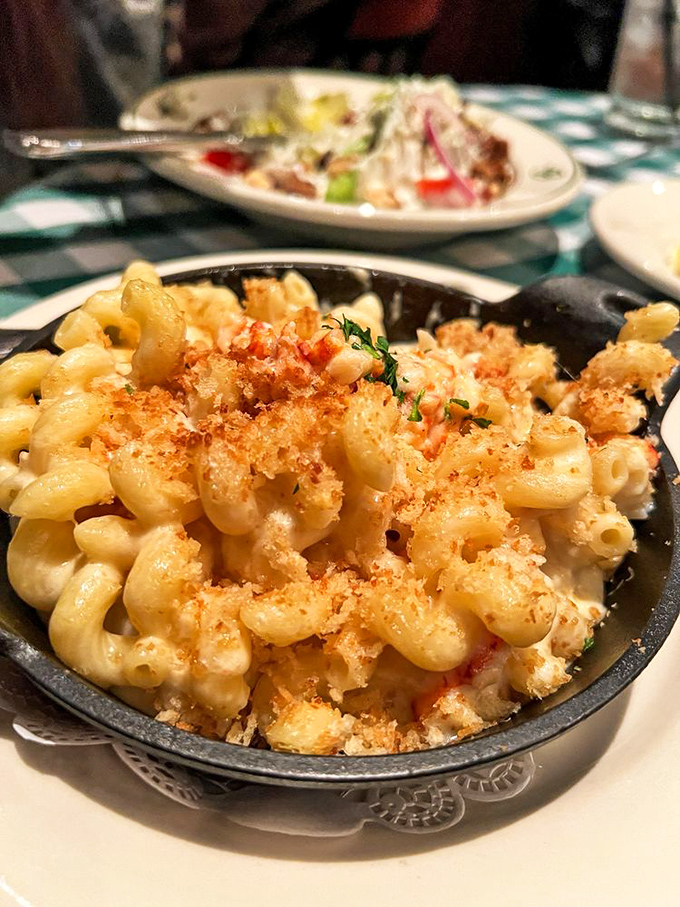 Mac and cheese that's grown up, moved out, and started hanging out with lobster in fancy circles. Your childhood favorite is now wearing a tuxedo.