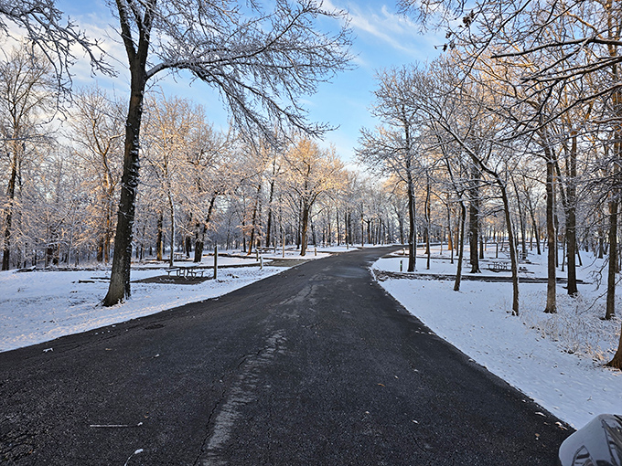 Winter transforms the park into a snow globe come to life&mdash;silent, pristine, and begging for the first set of footprints.