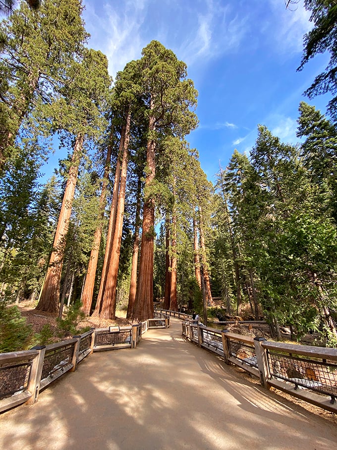 Even the bike paths here come with mountain views that would cost millions elsewhere.