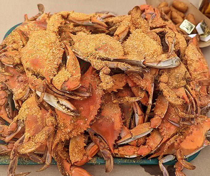 A mountain of steamed crabs dusted with Old Bay&mdash;Maryland's version of buried treasure that's meant to be discovered with your hands.