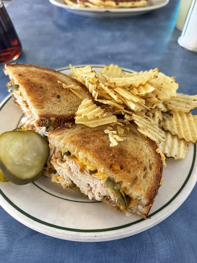 The melt that launched a thousand napkins. Grilled to golden perfection with that cheese pull that deserves its own slow-motion sequence.