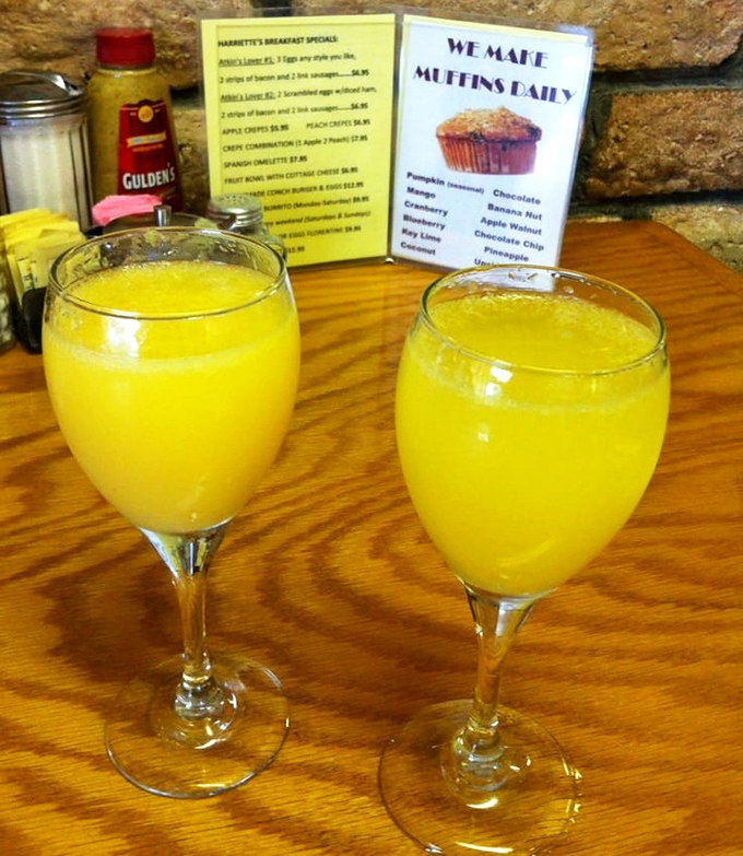 Morning mimosas in the Keys&mdash;because sometimes vacation breakfast deserves a splash of champagne to toast the day's adventures before they begin.
