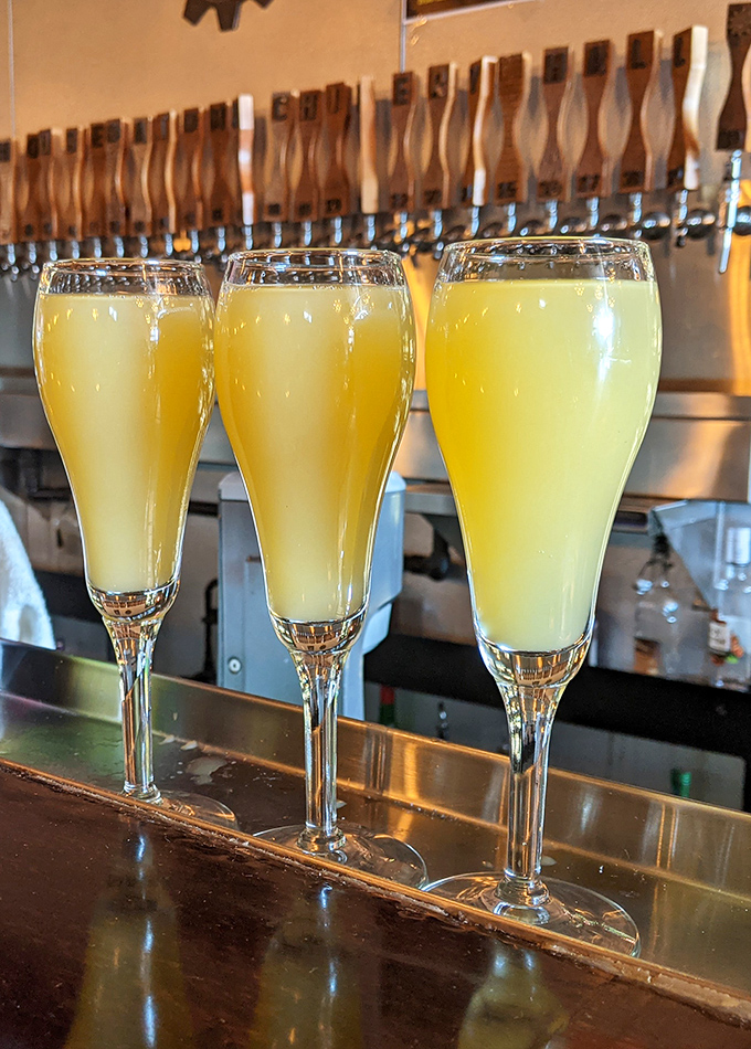 Mimosas lined up like liquid sunshine. These elegant flutes promise weekend vibes, even on a Tuesday afternoon.