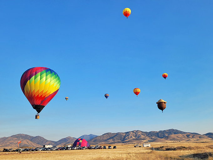 The Hot Air Balloon Fair transforms Montague's skies into a floating art gallery, proving that sometimes the best views aren't on Instagram.