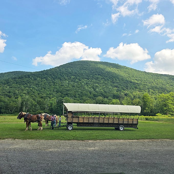 Nature's grandeur on full display&mdash;these draft horses pull their cargo past vistas that remind us why Pennsylvania earned its reputation for breathtaking landscapes.