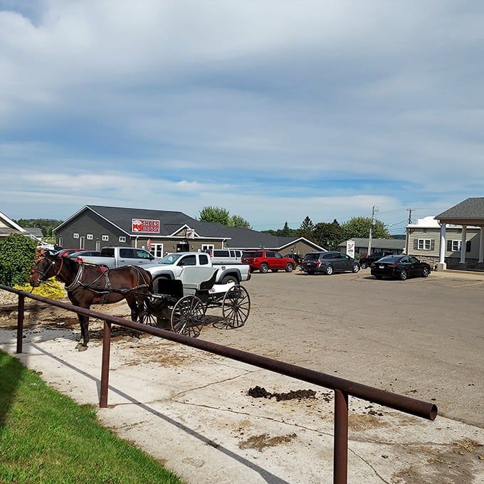 Harness and shoe repair - because some things are worth fixing, not replacing.