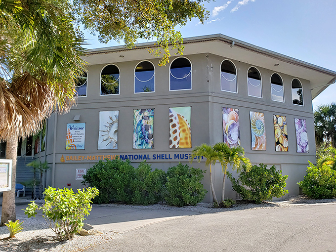 The Bailey-Matthews National Shell Museum: where "I'll just pop in for 20 minutes" turns into a fascinating two-hour deep dive into mollusk appreciation.