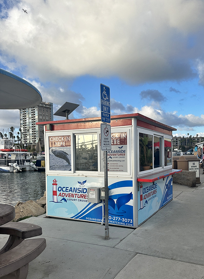 Whale watching adventures await at this humble harbor kiosk, where marine mammal encounters are promised without the need for CGI effects.