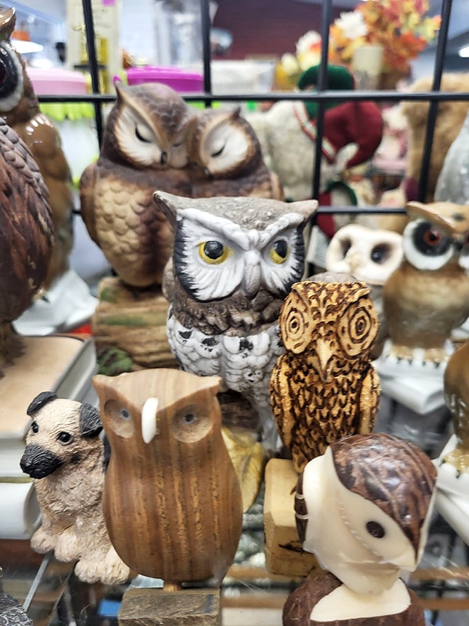 An parliament of owl figurines stands in silent judgment, daring you to leave without adopting at least one wise ceramic friend.