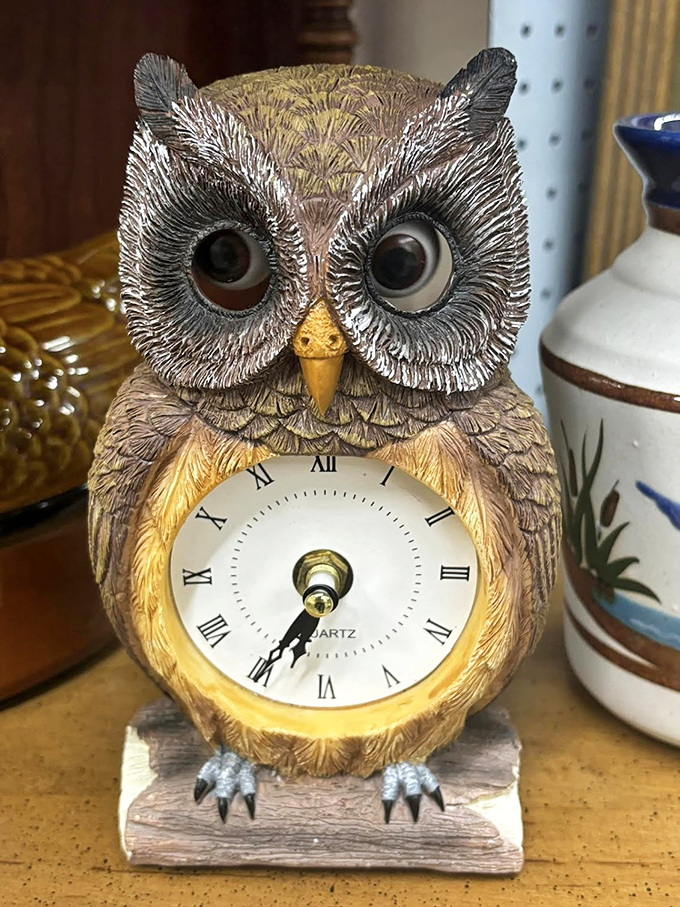 "Whooo" knows the time? This owl clock keeps watch with wide-eyed charm, bringing whimsy to timekeeping in the most delightful way.
