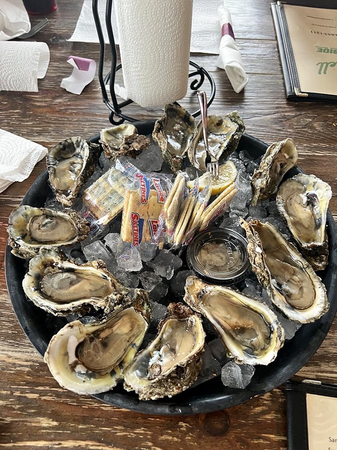 Fresh Apalachicola oysters arranged like edible pearls, each one a briny love letter from the Gulf waters.