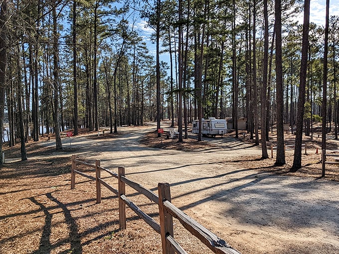 This camping spot looks like a Pinterest board came to life, complete with actual trees.