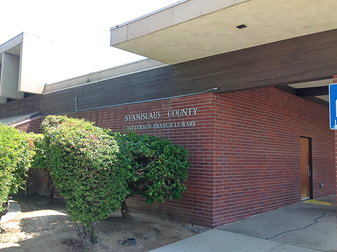 The Patterson Library&mdash;where books still exist on actual shelves and the Wi-Fi password isn't more complicated than nuclear launch codes.
