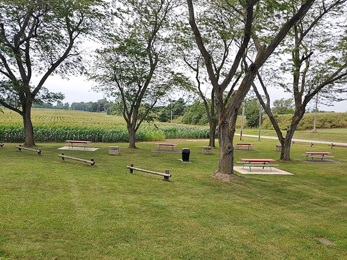 Perfect spot for a picnic where the only ants invited are the plastic ones on your checkered blanket.