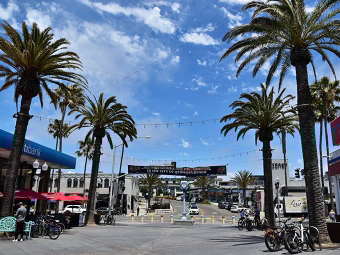Pier Plaza buzzes with energy where street performers compete with seagulls for your attention and usually win.