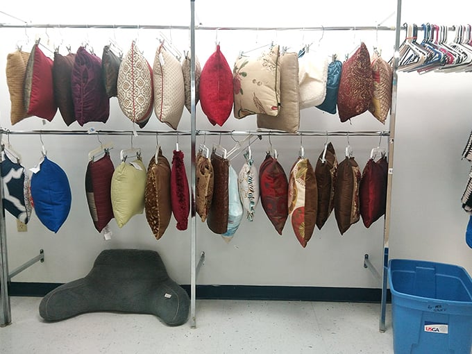 Decorative pillows hanging like exotic fruits—each one capable of transforming your couch from "meh" to "magazine-worthy" for under ten bucks.