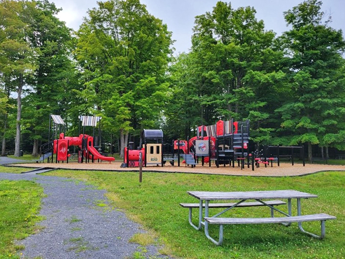 Childhood joy meets outdoor education. The park's playground offers young explorers their own adventure while parents recover from the Skywalk's dizzying heights.