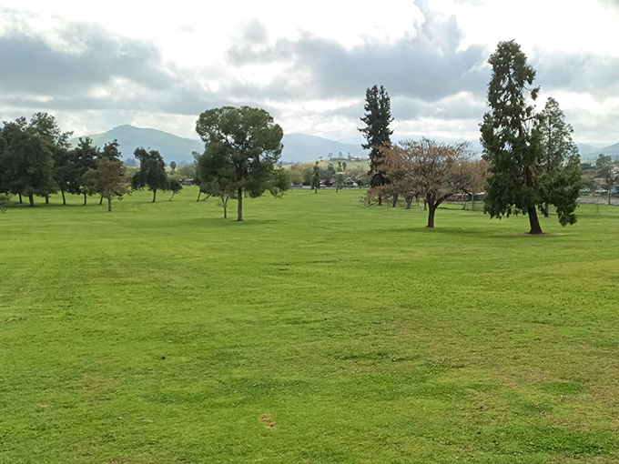 Golf as it should be: affordable, accessible, and set against mountain views that make even a bad swing seem like a good excuse to enjoy the scenery.