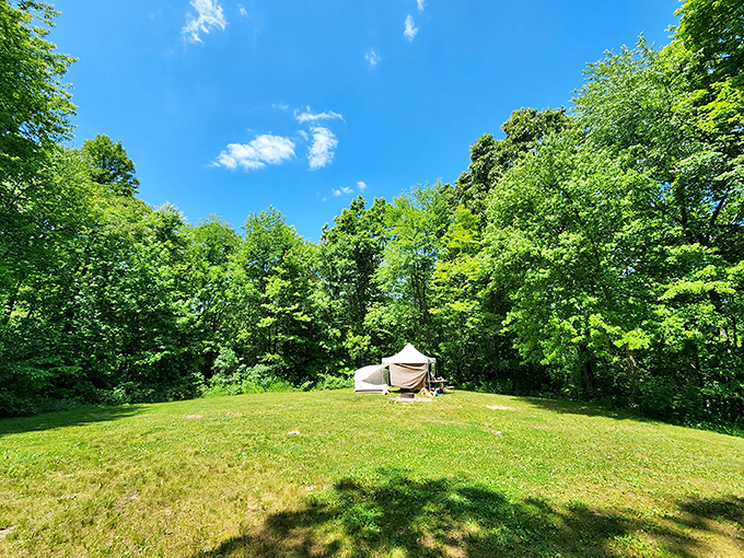 Social distancing, pioneer style. This secluded tent clearing offers the rare opportunity to hear yourself think amid nature's symphony.