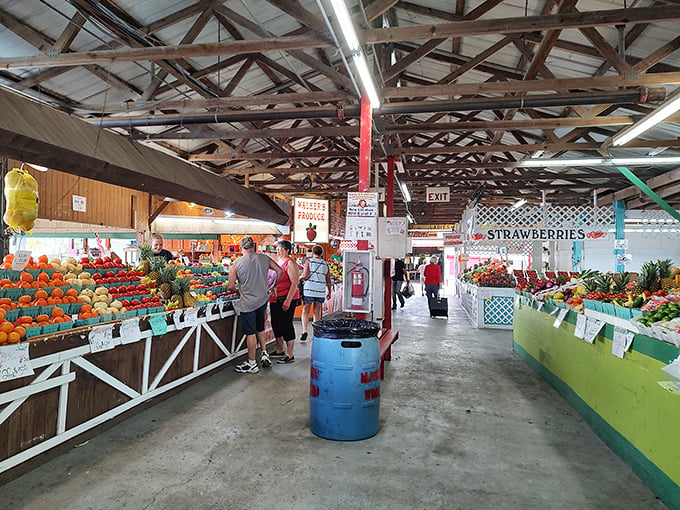 Nature's candy store! The farmers market section bursts with fresh strawberries and citrus, where Florida's agricultural bounty takes center stage away from theme park madness.