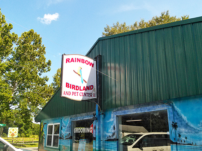 Rainbow Birdland proves that even pet stores have personality in Live Oak. Behind that colorful sign lies a menagerie that makes big-box pet retailers seem soullessly corporate by comparison.