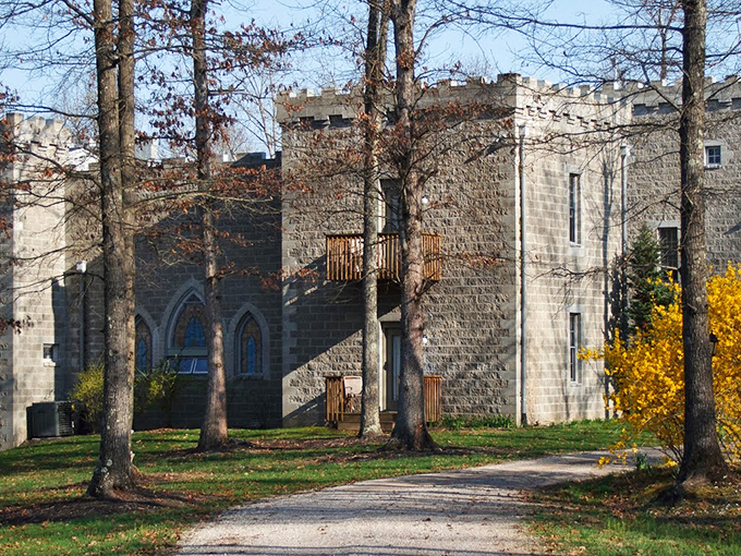 The castle's impressive fa&ccedil;ade takes on a golden hue in autumn sunlight, its stone walls contrasting beautifully with the surrounding woodland.