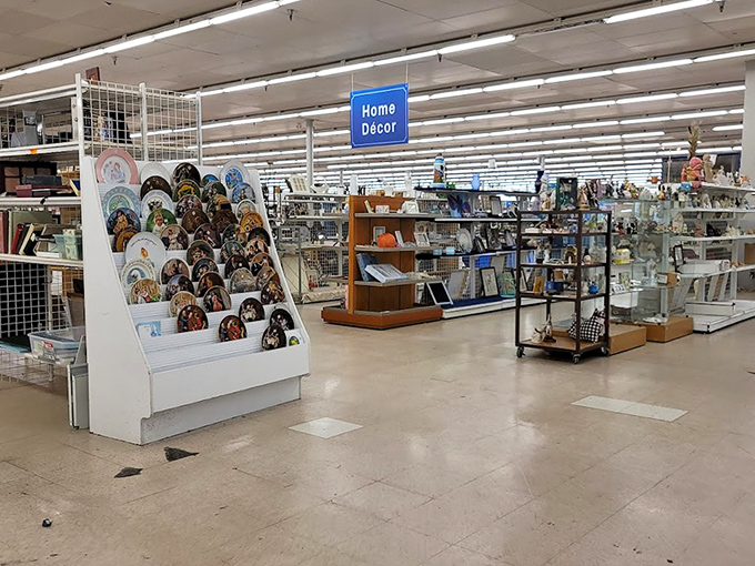 The home decor aisle offers a crash course in American design trends. Those decorative plates could be ironic wall art or genuine dining table upgrades.