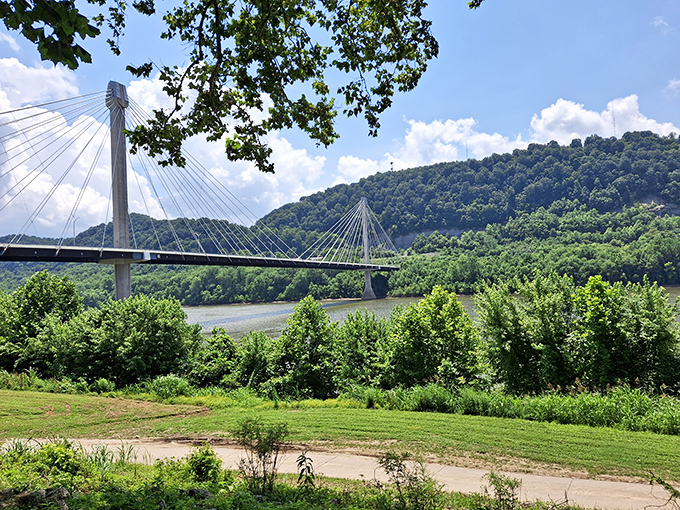 The elegant cable-stayed bridge spans the Ohio River like a modern sculpture, framed by the lush greenery that surrounds Portsmouth's natural setting.