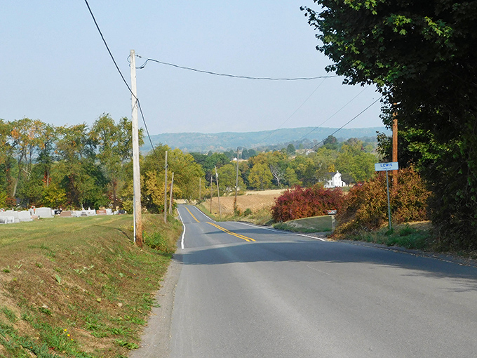 Rural Pennsylvania unfolds like a storybook, each bend revealing another chapter. The kind of road where radio stations fade but memories don't.