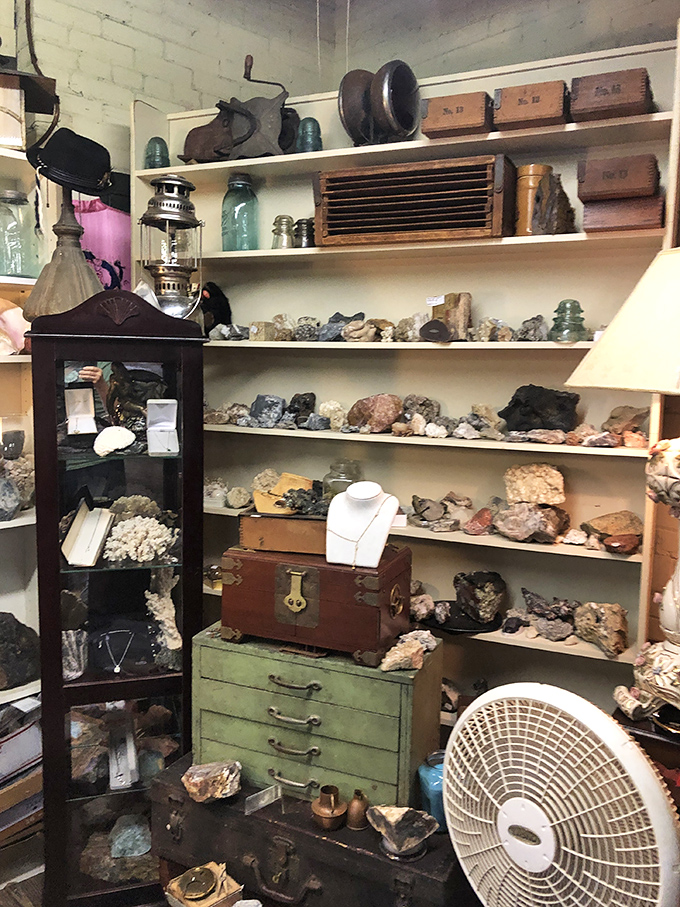 Nature meets nostalgia in this mineral and antique display, where crystallized treasures share space with artifacts from simpler times.
