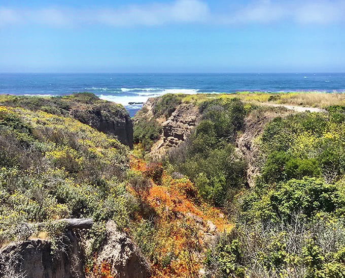 When the canyon opens up to reveal beaches that make you forget civilization exists.