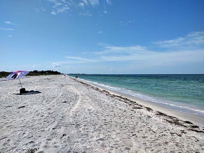 The definition of social distancing: A single beach umbrella marks human territory on Don Pedro's expansive shoreline. Room for everyone here.