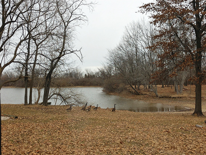 Fall foliage reflecting in calm waters &ndash; like nature decided to double its color budget just for your viewing pleasure.