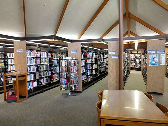 The Selma Branch Library houses more than books&mdash;it's a community hub where retirees gather for programs, resources, and air conditioning during summer heat.