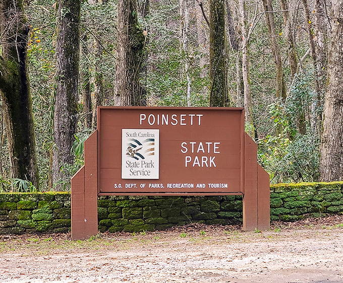 The entrance sign: official notification you're leaving behind deadlines, meetings, and that one coworker who microwaves fish in the break room. 