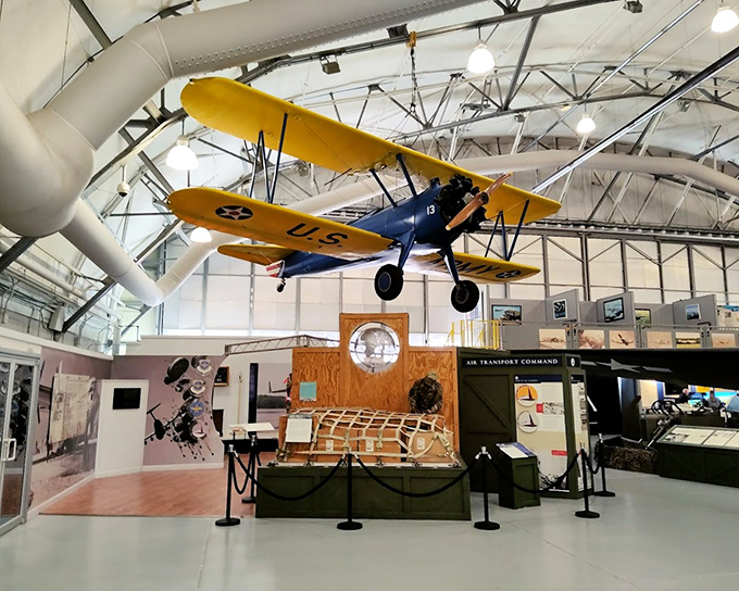 Sunshine yellow wings against military green&mdash;this vintage training aircraft reminds us that even serious business can have a splash of color.