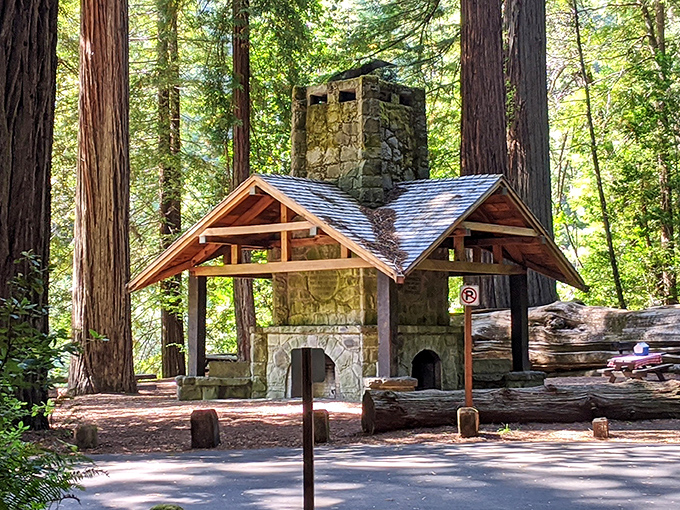 Stone meets timber in this rustic shelter, where countless picnics have unfolded beneath a canopy older than most countries. 