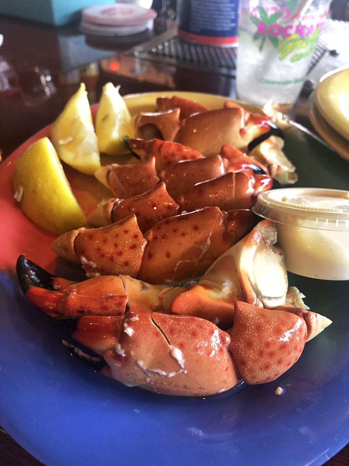 Stone crab claws: Nature's way of packaging sweet, tender meat in a shell that requires just enough effort to make you feel like you've earned every delicious bite.