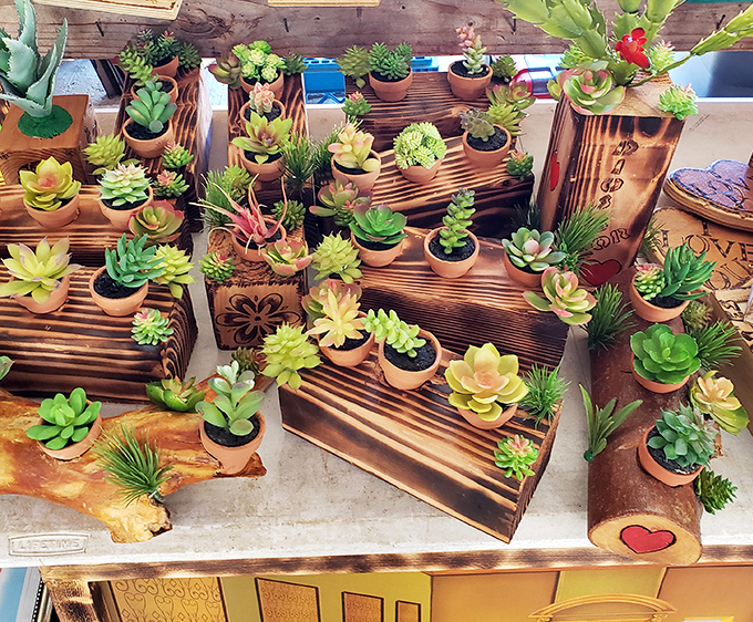 Succulent heaven! These little potted wonders require so little yet give so much&mdash;like the plant equivalent of that friend who never forgets your birthday.