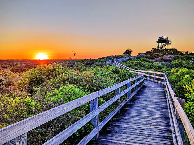 Sunset transforms the boardwalk into a golden pathway. Worth every mosquito bite and bead of sweat from the day's adventures.