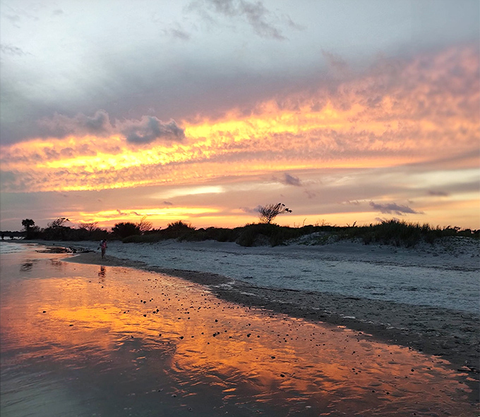 Mother Nature's nightly masterpiece. Folly Beach sunsets transform ordinary clouds into extraordinary canvases of gold, pink, and promise.