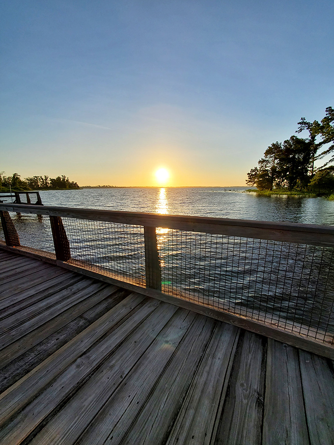 Sunset over Lake Seminole &ndash; nature's version of mood lighting that makes even amateur photographers look like professionals.