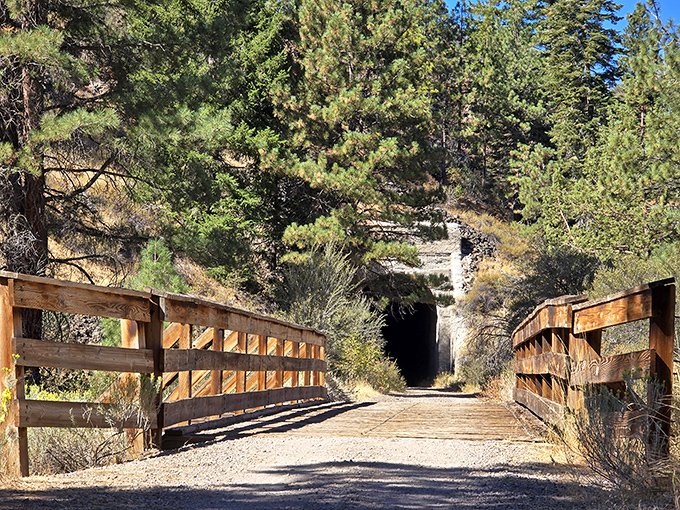 The Bizz Johnson Trail tunnel beckons adventurers into its cool darkness, a portal between wilderness and civilization carved through solid rock.