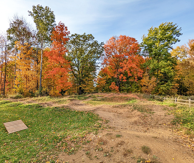 Fall in Wausau isn't just a season, it's a spectacular show where trees dress in their Sunday best before winter's long sermon.