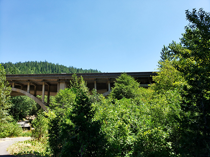 The bridge stretches across the landscape like a concrete rainbow, connecting Dunsmuir's natural beauty with its accessible infrastructure.