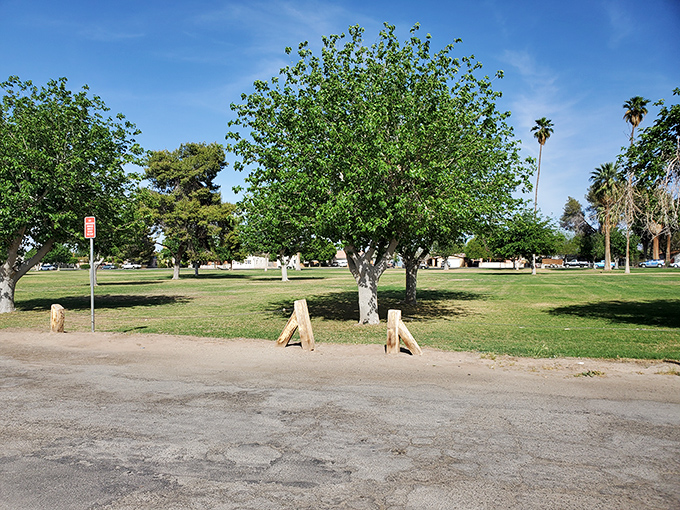 Simple pleasures define Blythe living: shade trees, open spaces, and the luxury of room to breathe without paying premium prices.