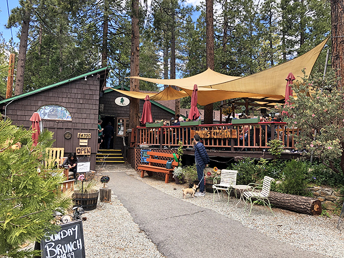 Sunday brunch under pine-scented shade sails? This rustic deck offers mountain dining that makes avocado toast taste better simply because of the altitude and ambiance.