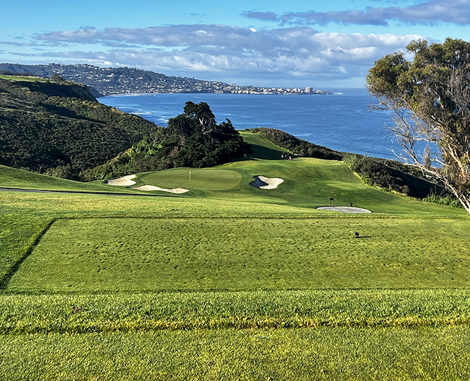 Golf with a side of ocean views &ndash; Torrey Pines Golf Course proves that even a terrible swing can be redeemed by spectacular scenery.