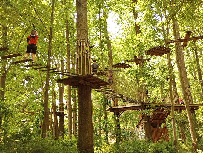 Tarzan meets American Ninja Warrior in this treetop playground. The forest floor suddenly seems so... pedestrian.